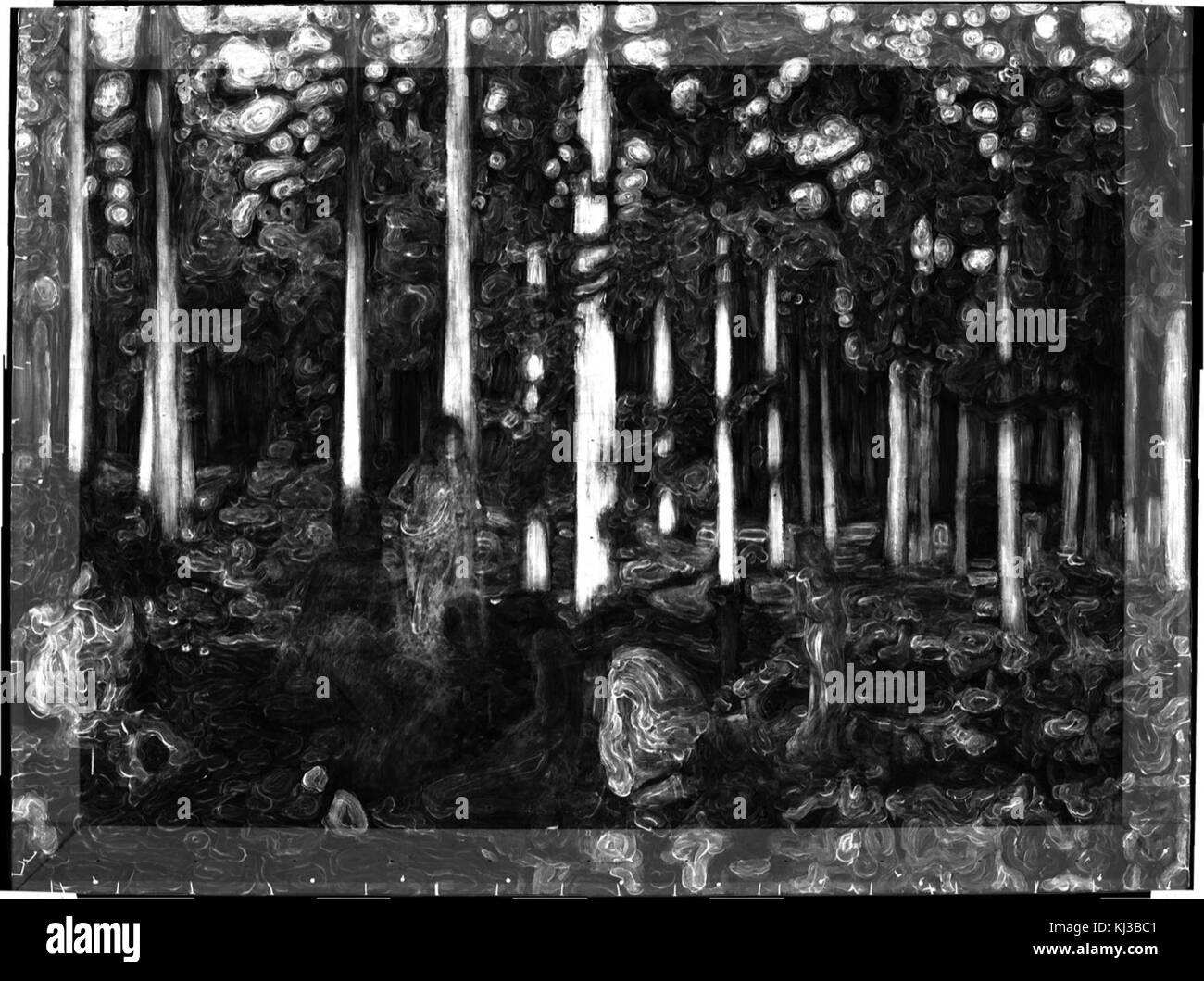 Forest analysis Black and White Stock Photos & Images - Alamy