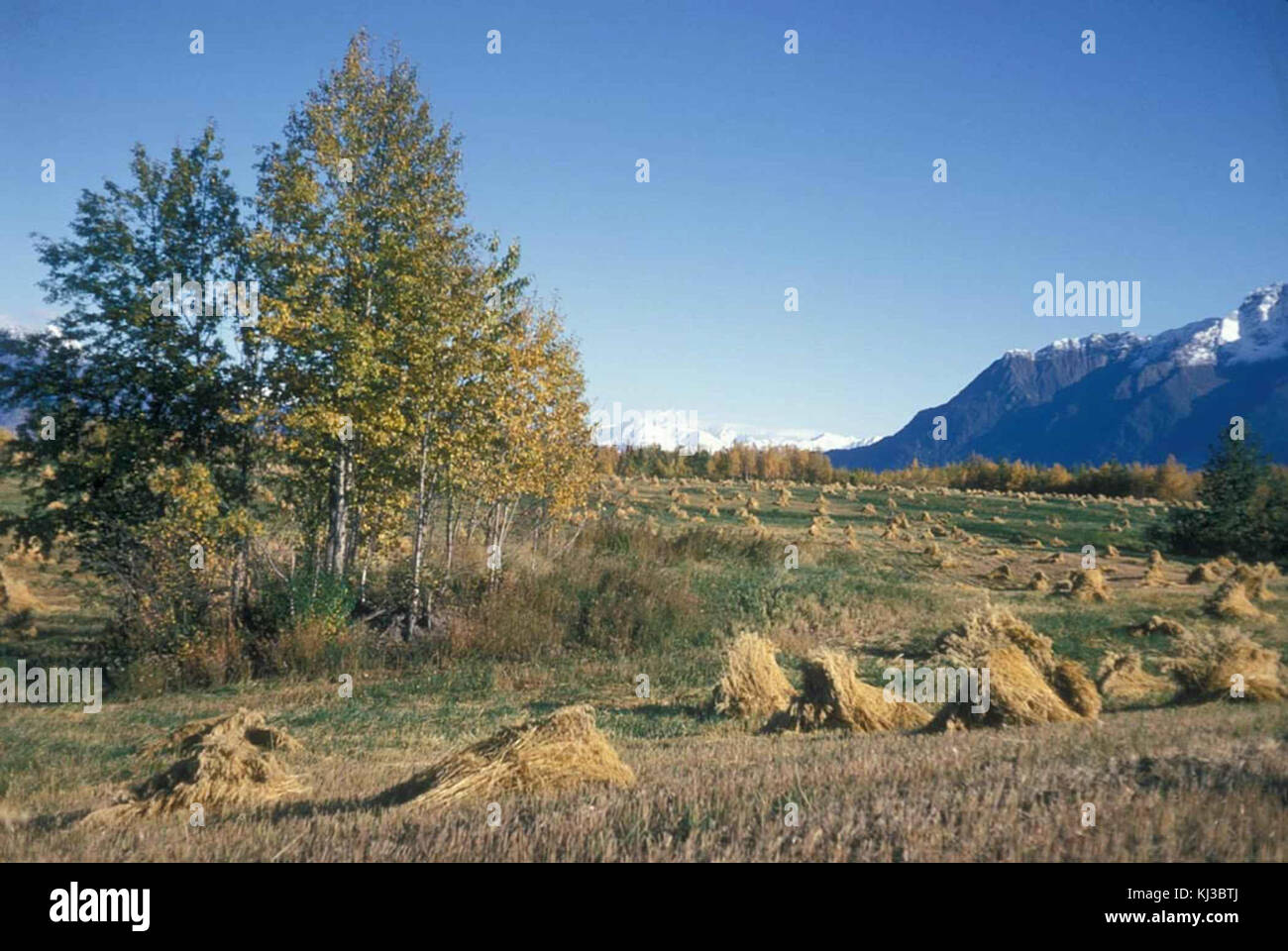 Valley hay field Stock Photo - Alamy