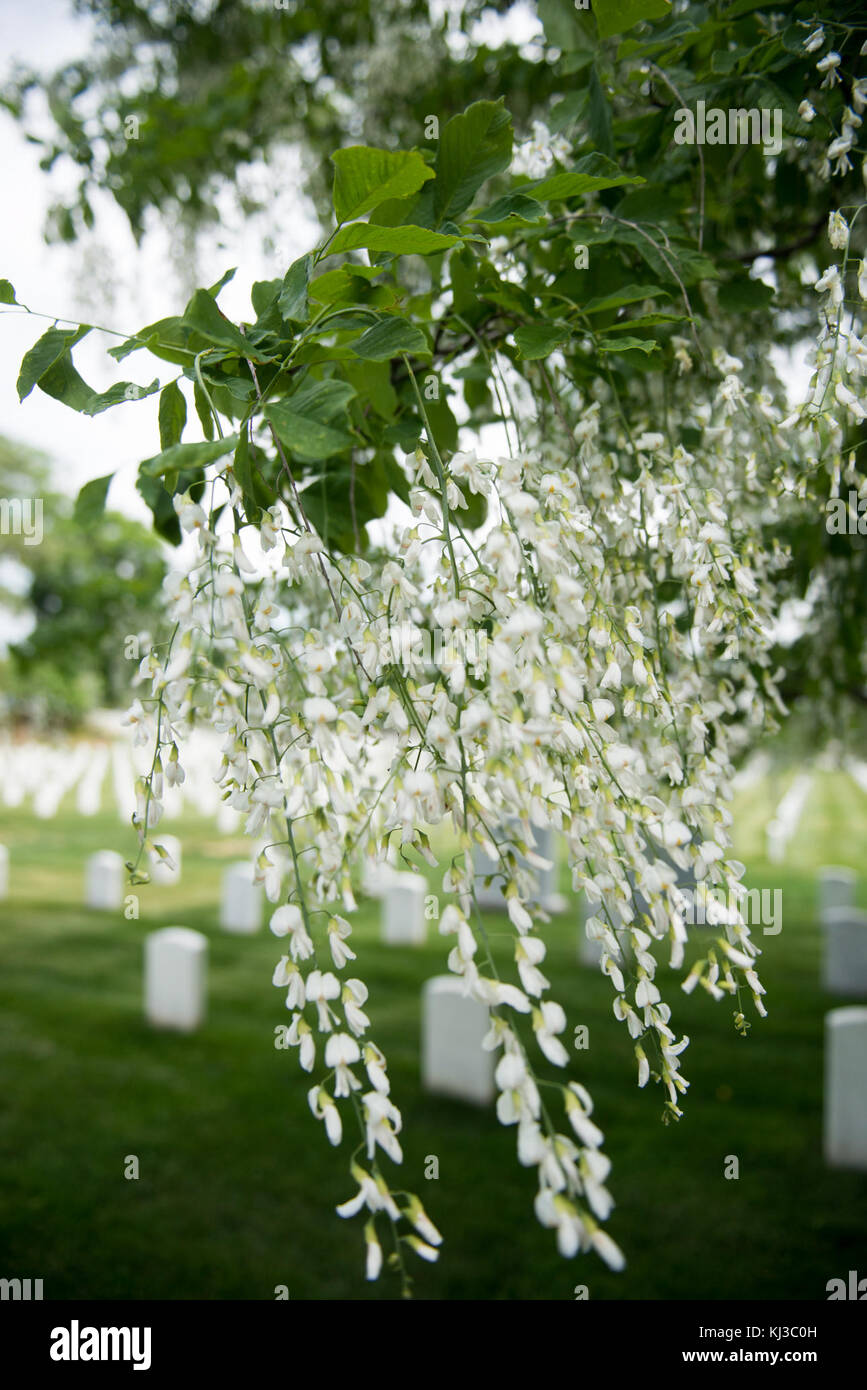 Virginia state arboretum hi-res stock photography and images - Alamy