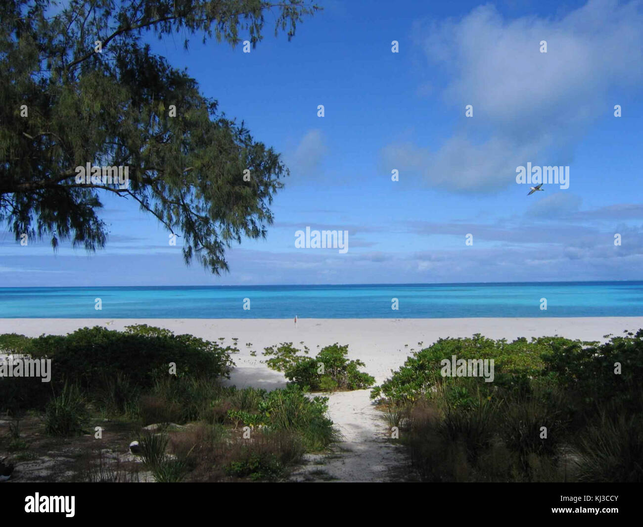 View of a beach on sand island Stock Photo - Alamy