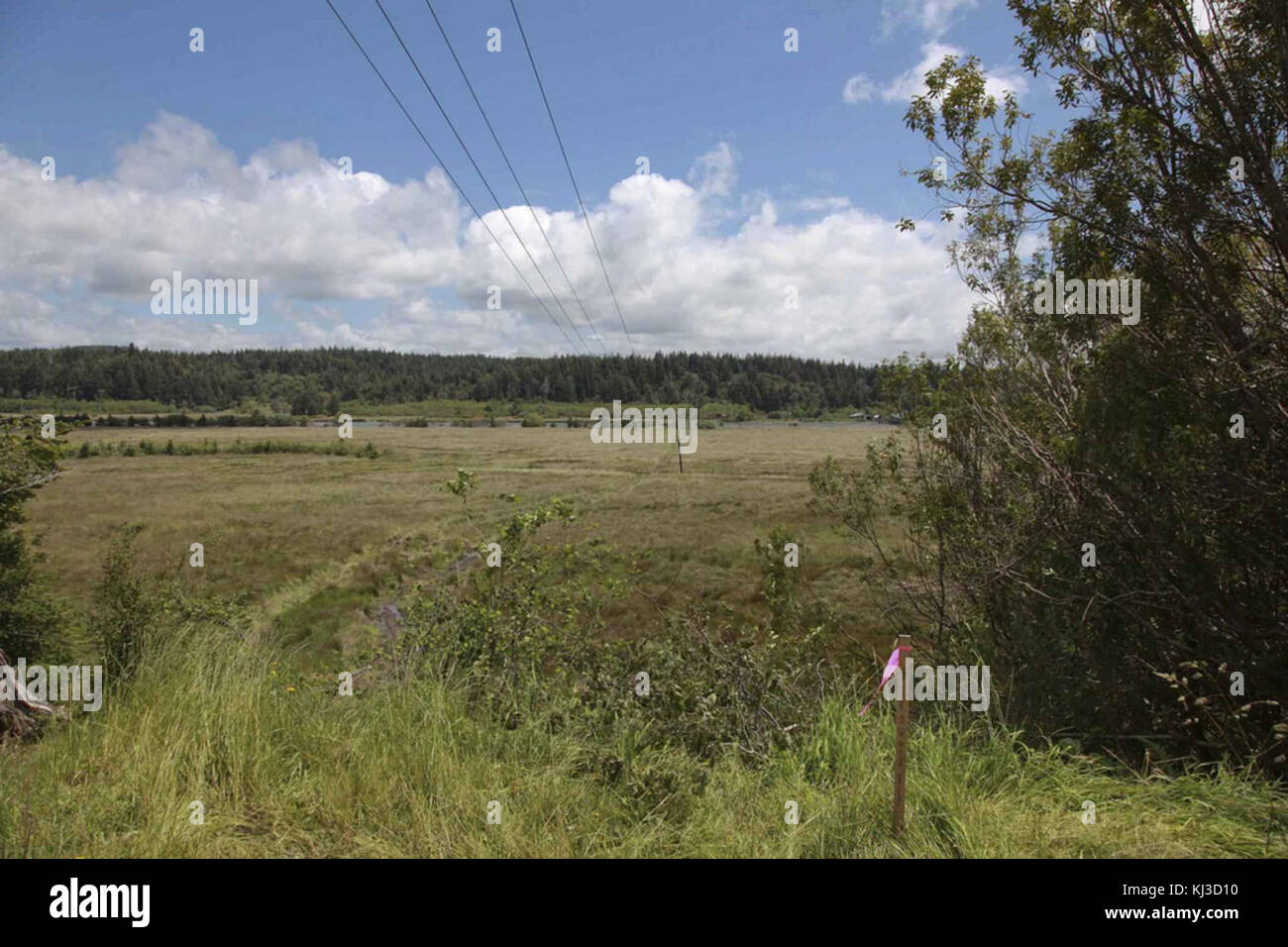 View of the existing overhead electrical transmission line Stock Photo ...
