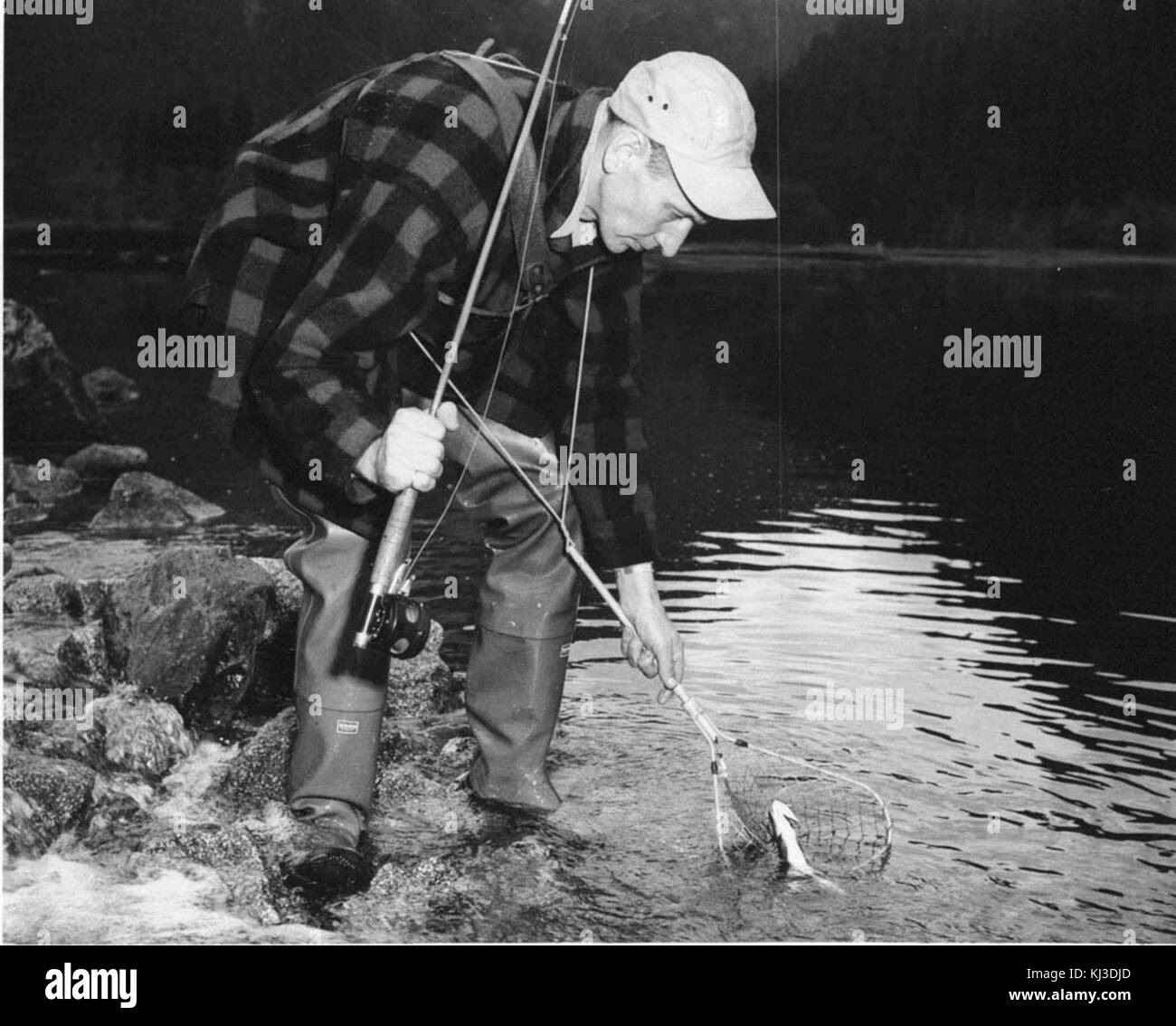 Photo sea fish in Black and White Stock Photos & Images - Alamy