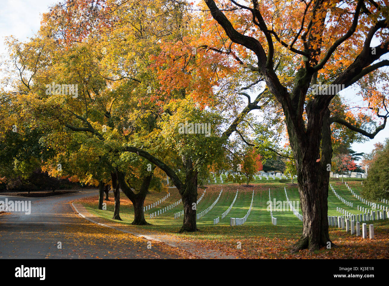 Administrative section hi-res stock photography and images - Alamy
