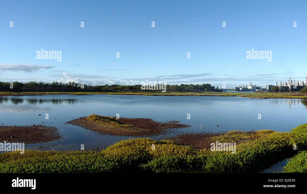 Waiawa wetland at the Pearl harbor Stock Photo - Alamy