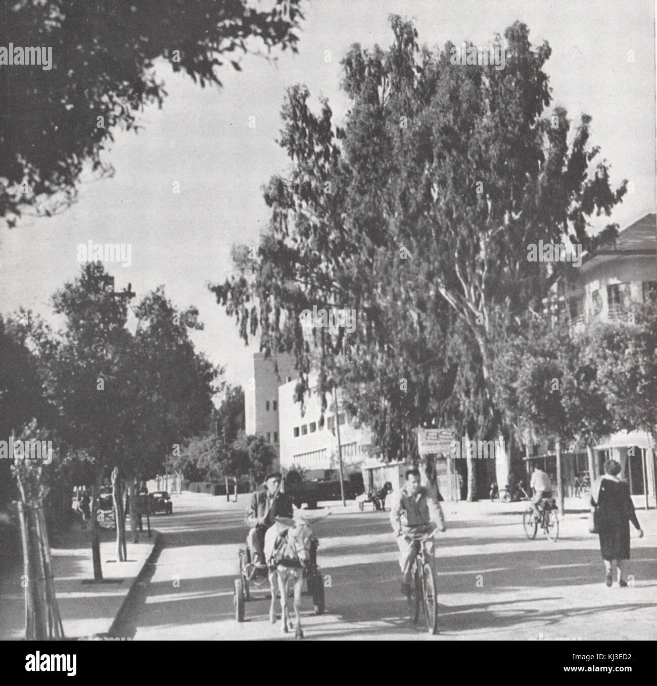 Israel 46974 Rehovot Stock Photo - Alamy