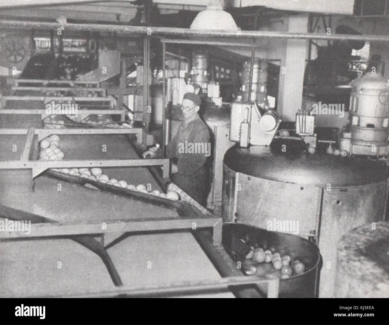 Israel 46976 A factory for juices Stock Photo - Alamy