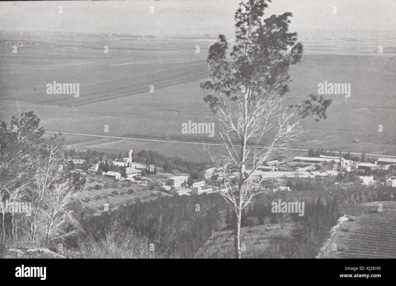 Israel 47140 Ginegar Stock Photo - Alamy