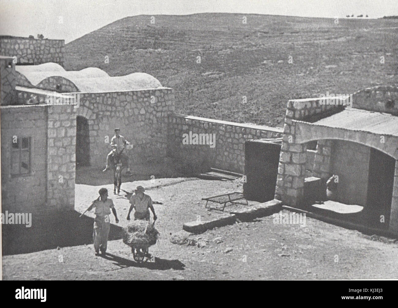 Israel 47195 Birya Stock Photo - Alamy