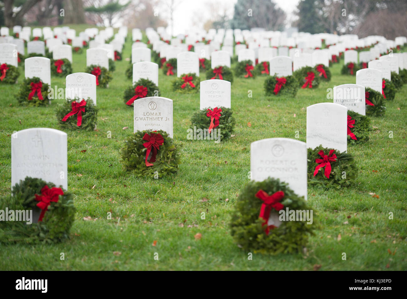 Solemn wreath laying ceremony hi-res stock photography and images - Alamy