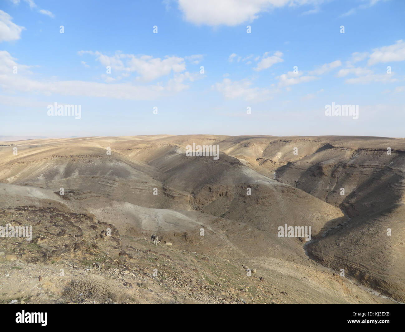 Israel 48989 Geography of Israel Stock Photo - Alamy