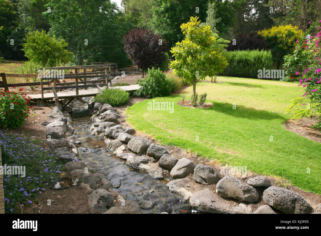 Bashan hi-res stock photography and images - Alamy