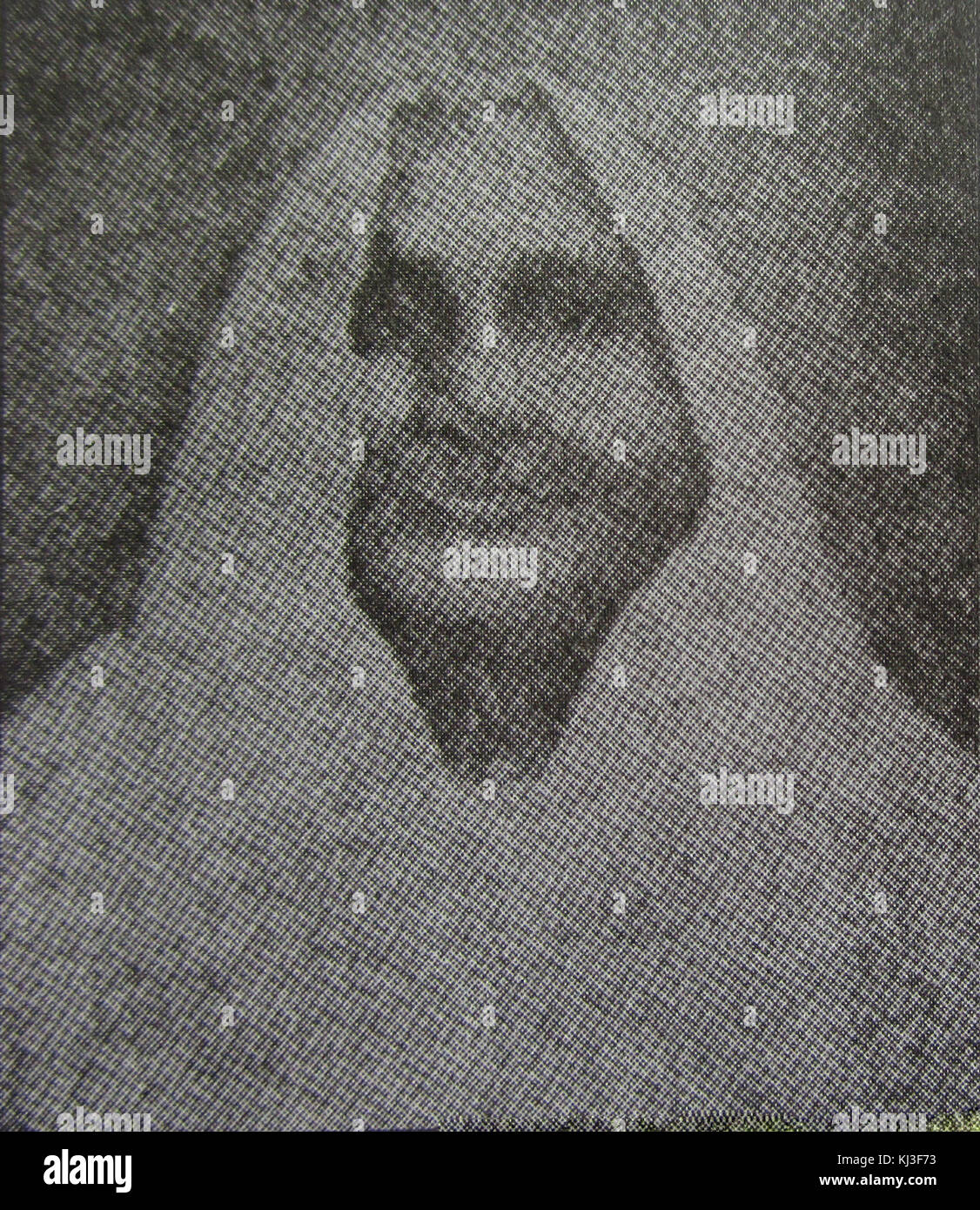 Indian revolutionaries hi-res stock photography and images - Alamy