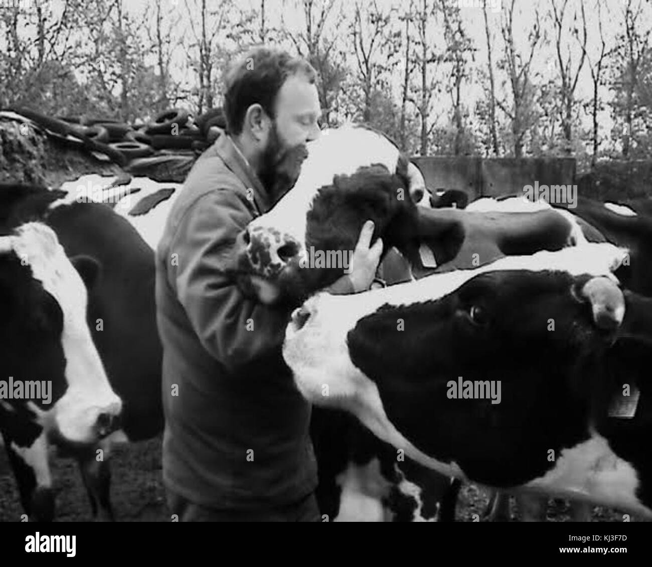 Creton hi-res stock photography and images - Alamy