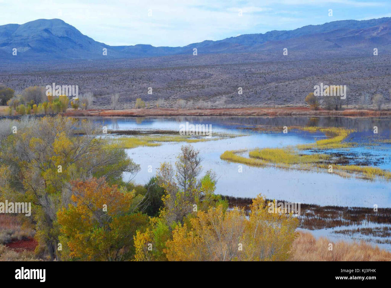 Waters attract thousands of waterfowl during migration Stock Photo - Alamy