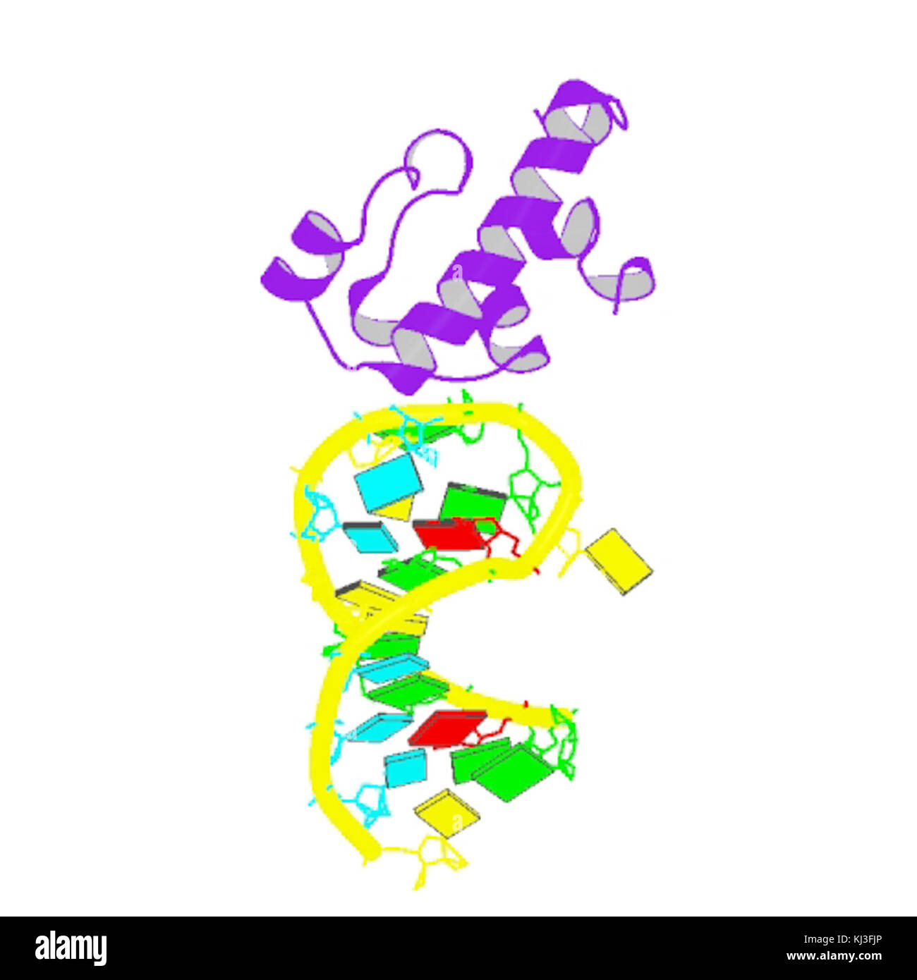 Vts1P SRE Recognition SAM domain refers to a specific protein domain ...