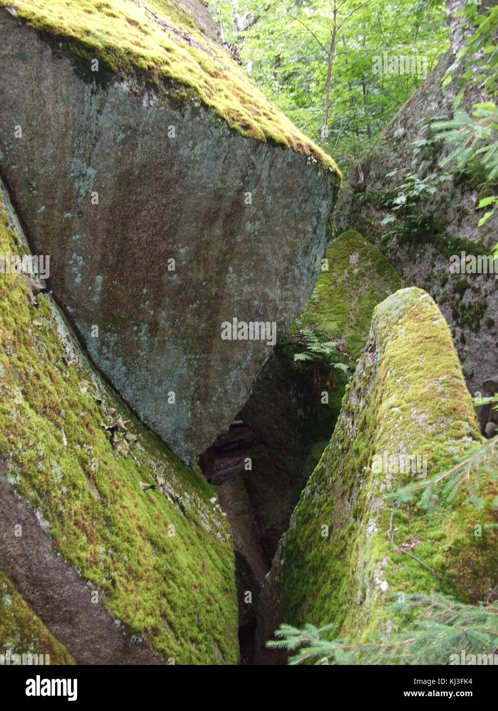 Mossy rock texture Stock Photo - Alamy