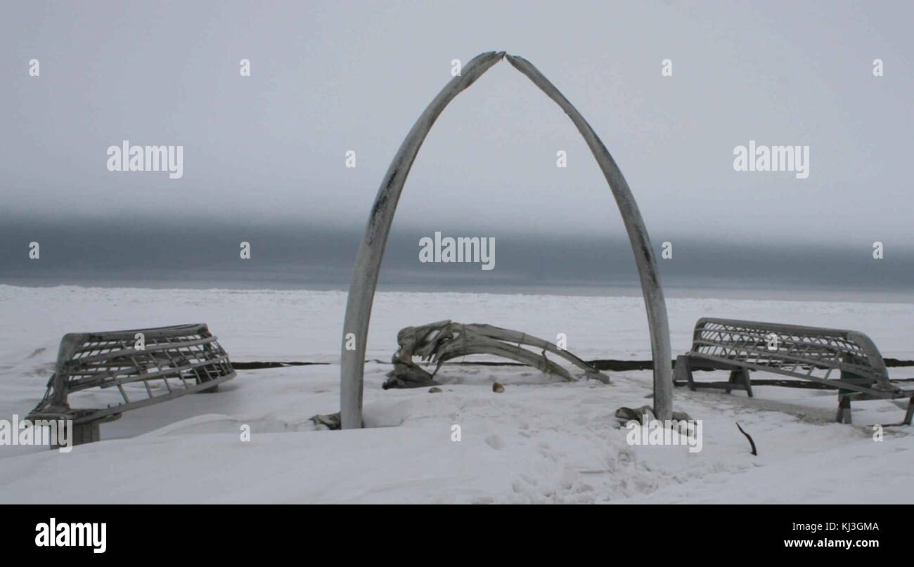 Whale bone rib arc and skin boat frames at barrow Alaska Stock Photo ...