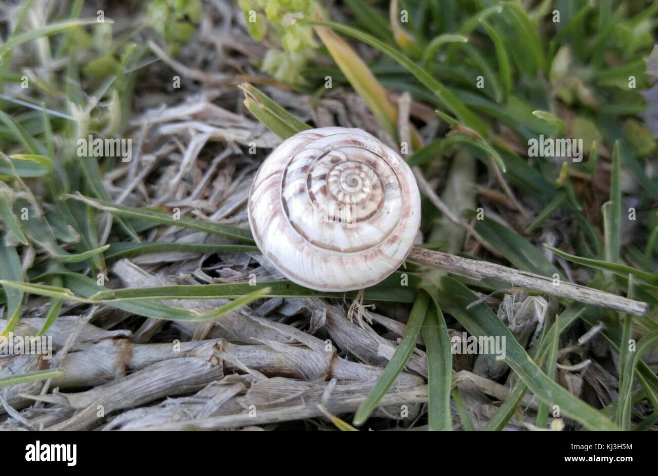 Israel 48982 Geography of Israel Stock Photo - Alamy