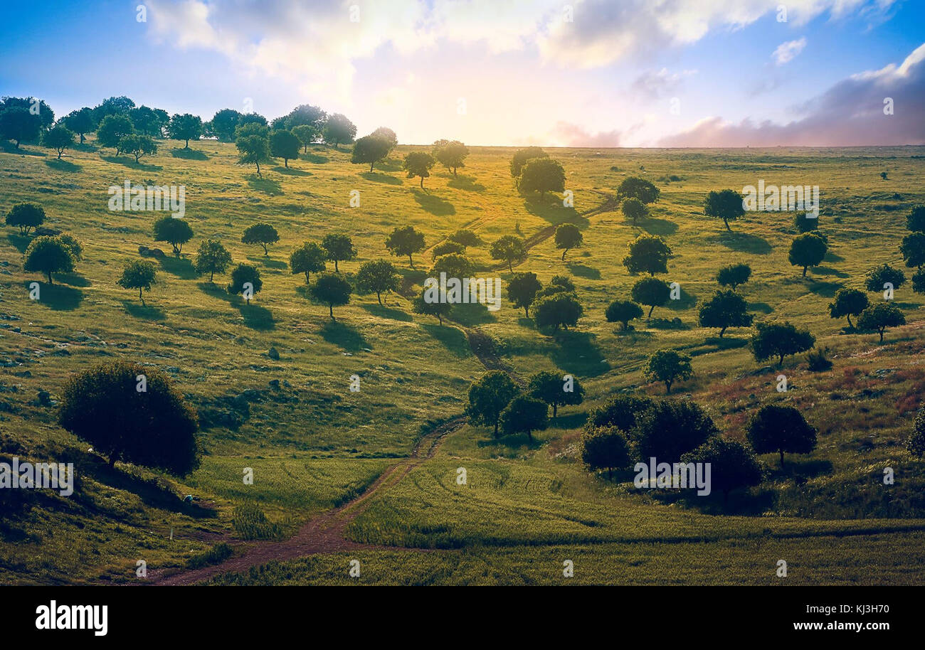 Dead sea natural wonders israel hi-res stock photography and images - Alamy