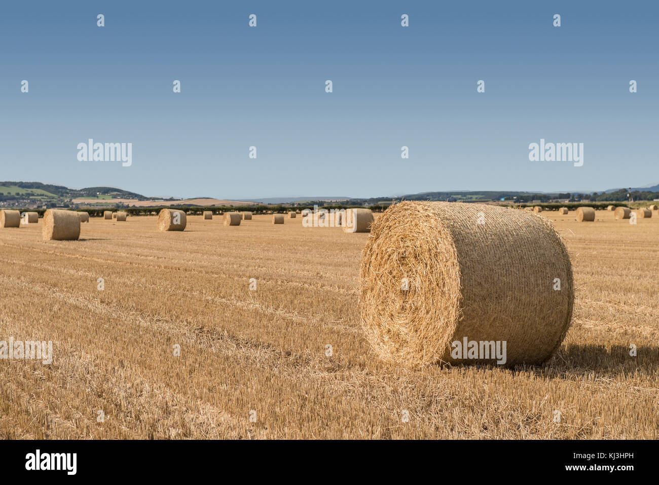 Harvesting hay by farmers hi-res stock photography and images - Alamy