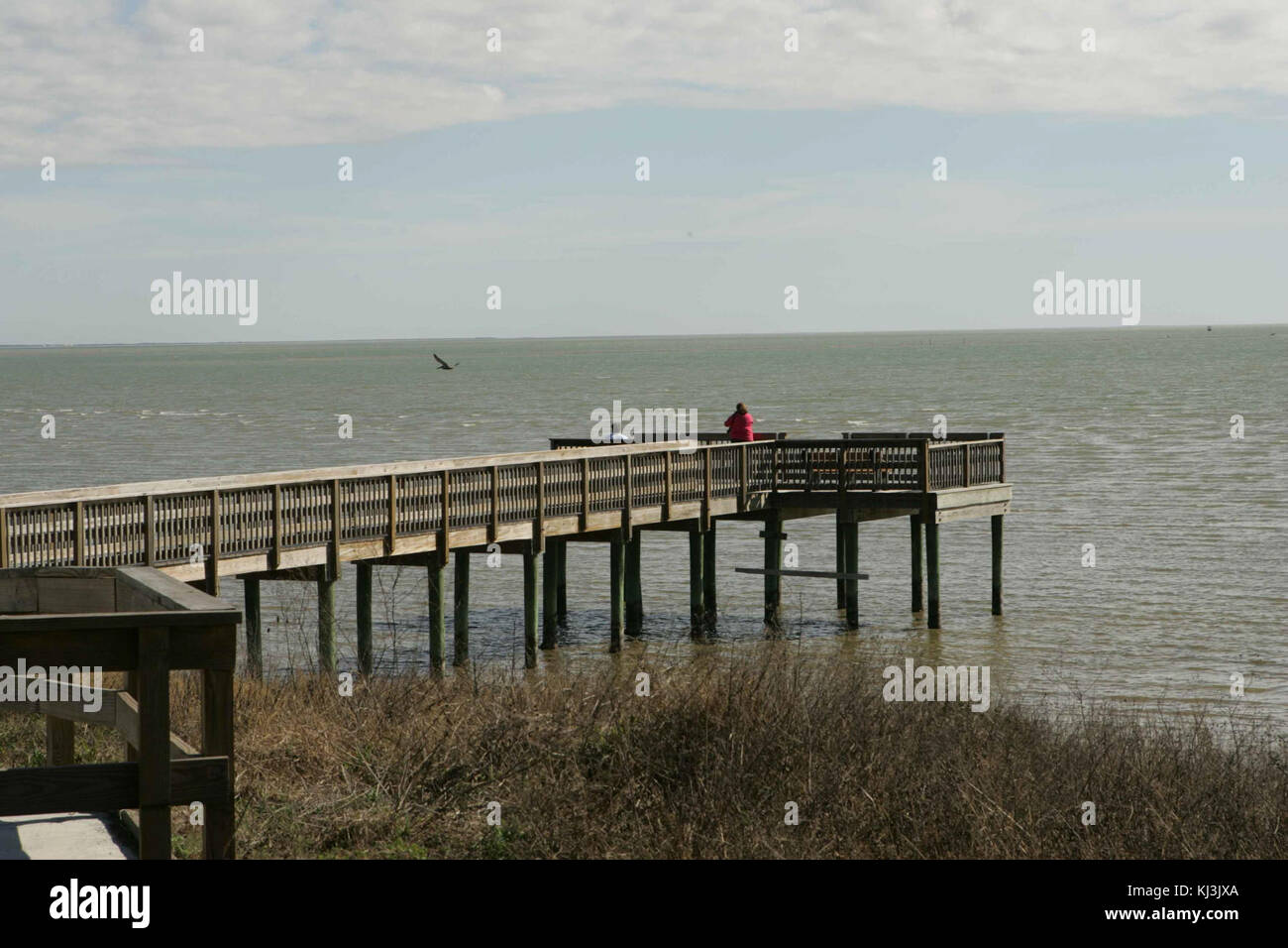 Avian environments hi-res stock photography and images - Alamy