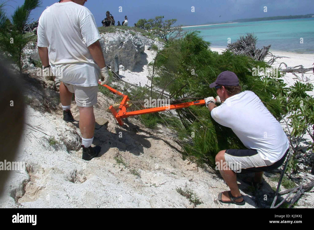 Old uprooting hi-res stock photography and images - Alamy