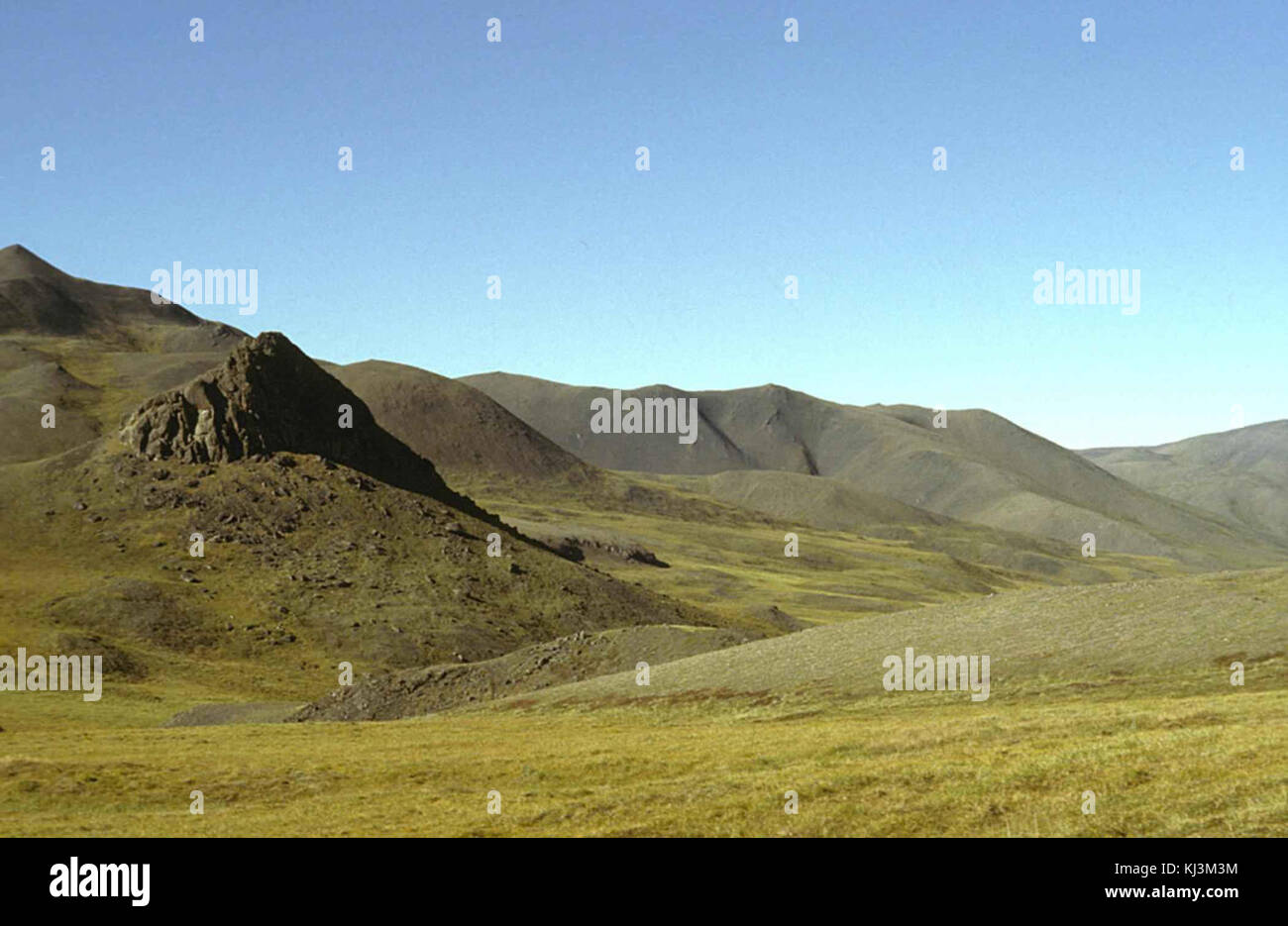 Yellow hills in summer Stock Photo - Alamy