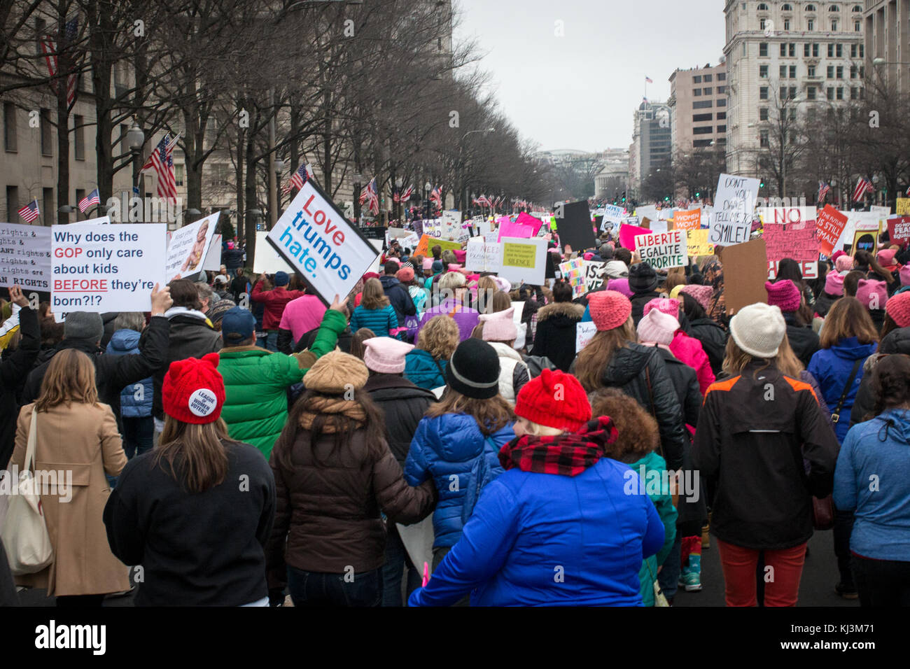 An image from the DC Women's March, capturing the crowd and atmosphere ...