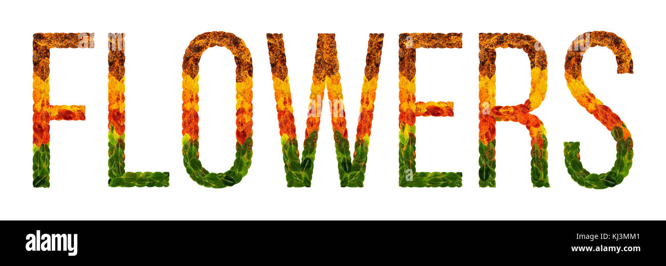 flowers word is written with leaves white isolated background, banner ...