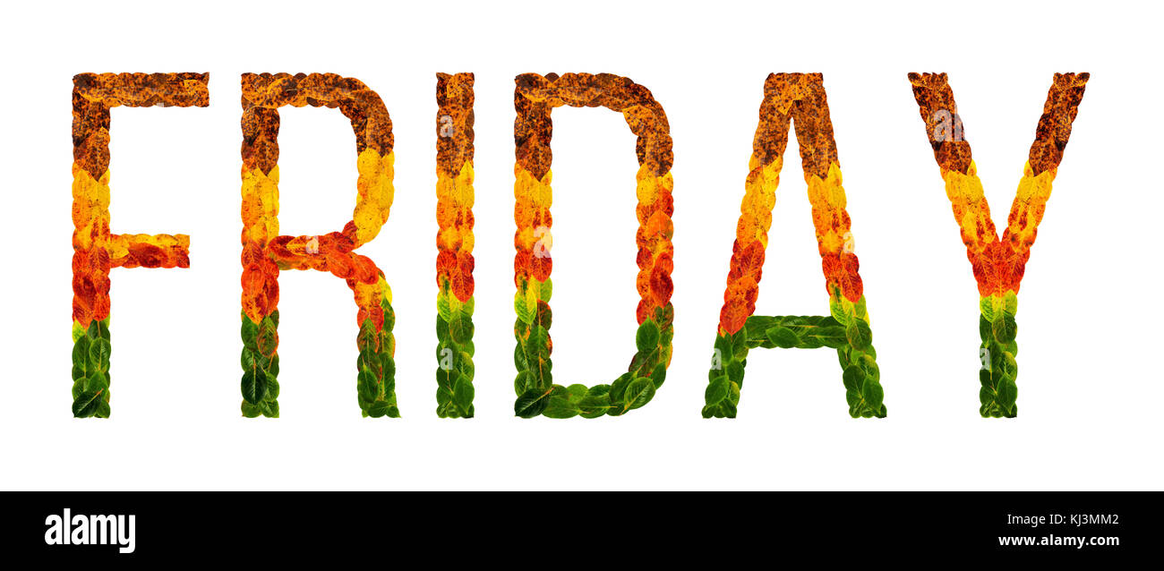 word fridaywritten with leaves white isolated background, banner for ...