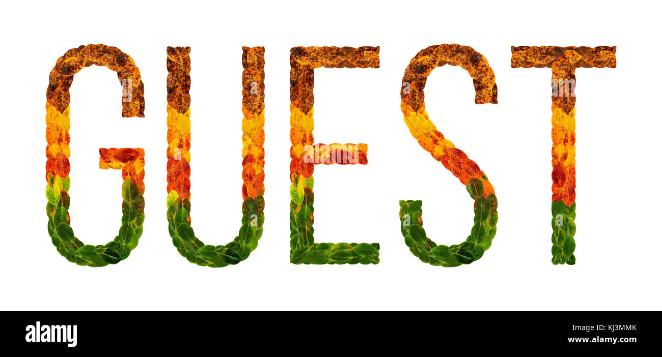 word guest written with leaves white isolated background, banner for ...