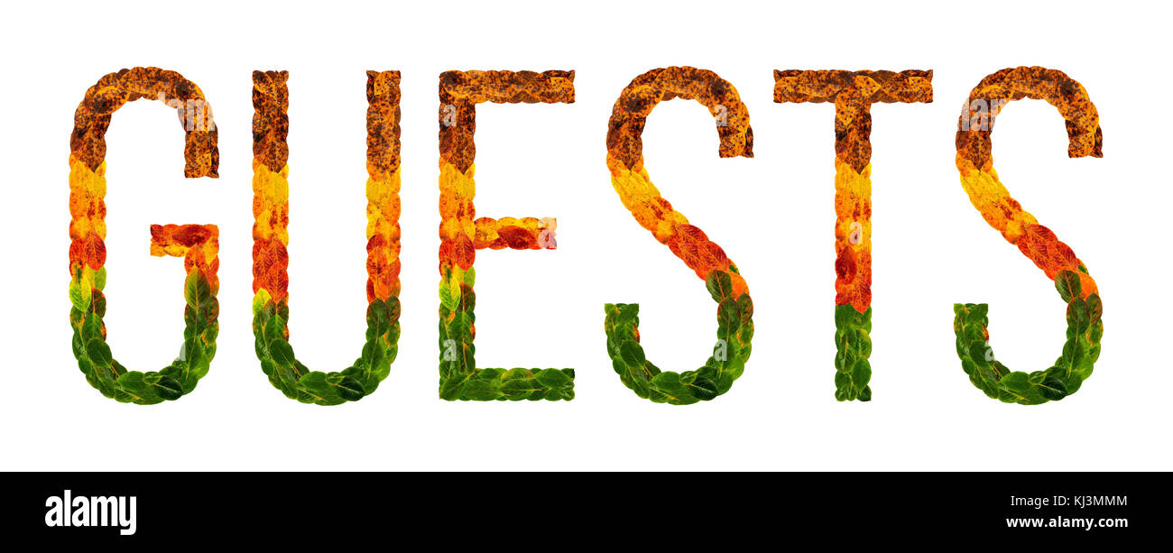 word guests written with leaves white isolated background, banner for ...