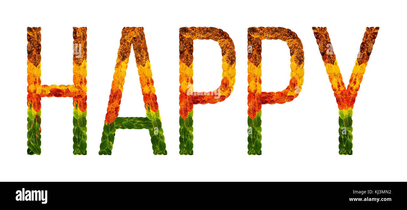 word happy written with leaves white isolated background, banner for ...