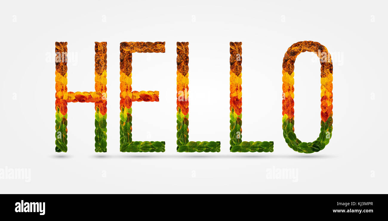 word hello written with leaves white isolated background, banner for ...