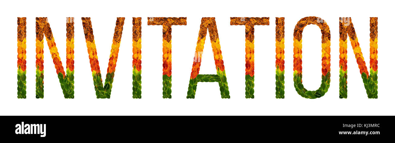 word invitation written with leaves white isolated background, banner ...