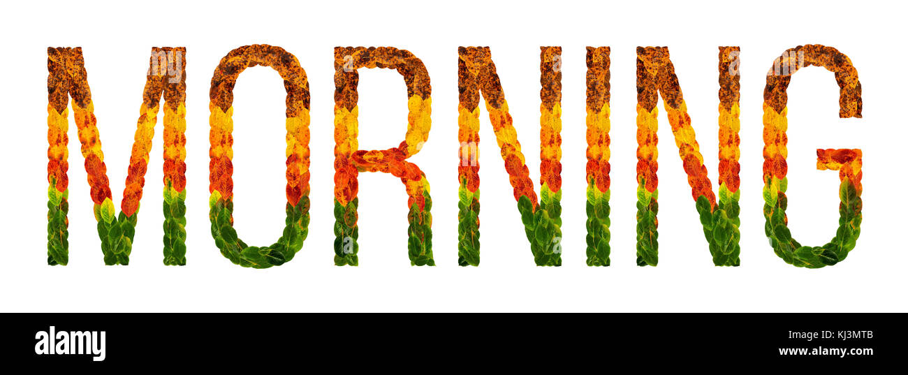 word morning written with leaves white isolated background, banner for ...