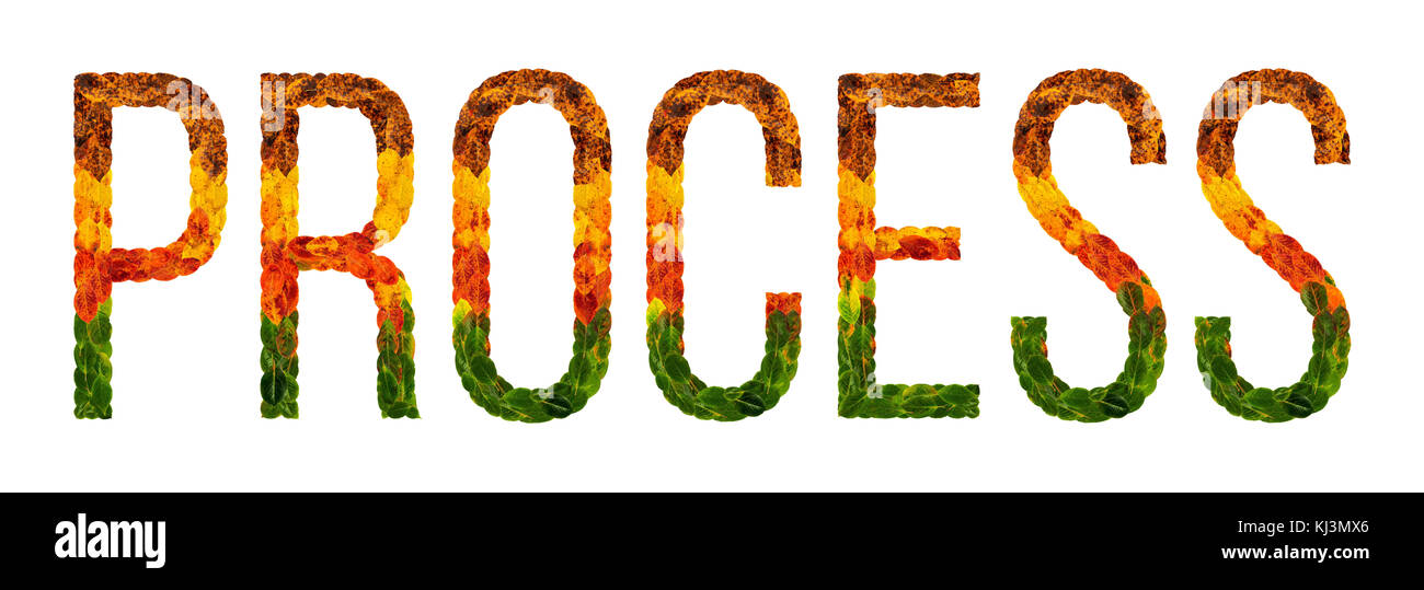 word process written with leaves white isolated background, banner for ...