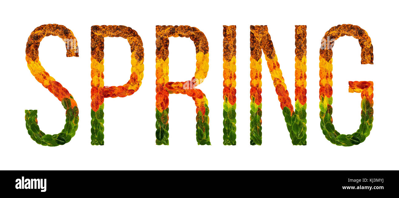 word spring written with leaves white isolated background, banner for ...
