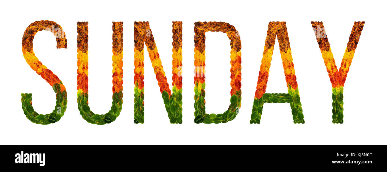 word sunday written with leaves white isolated background, banner for ...