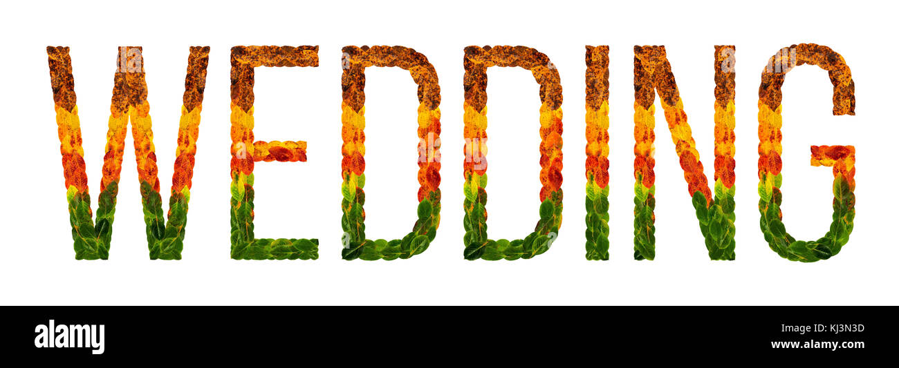 word wedding written with leaves white isolated background, banner for ...