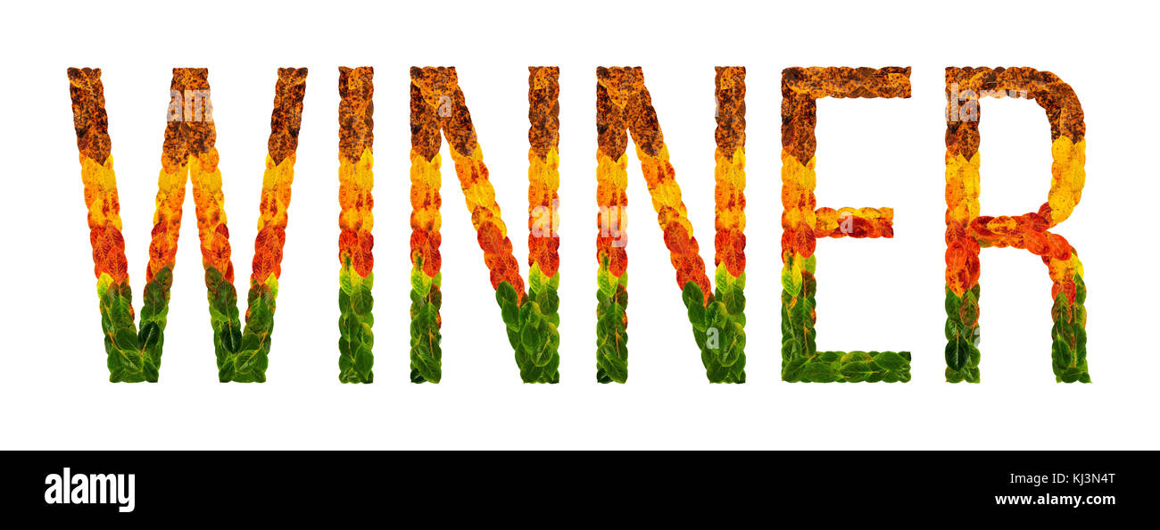word winner written with leaves white isolated background, banner for ...