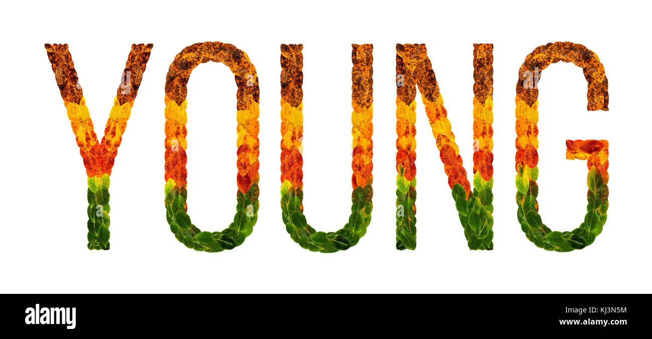 word young written with leaves white isolated background, banner for ...