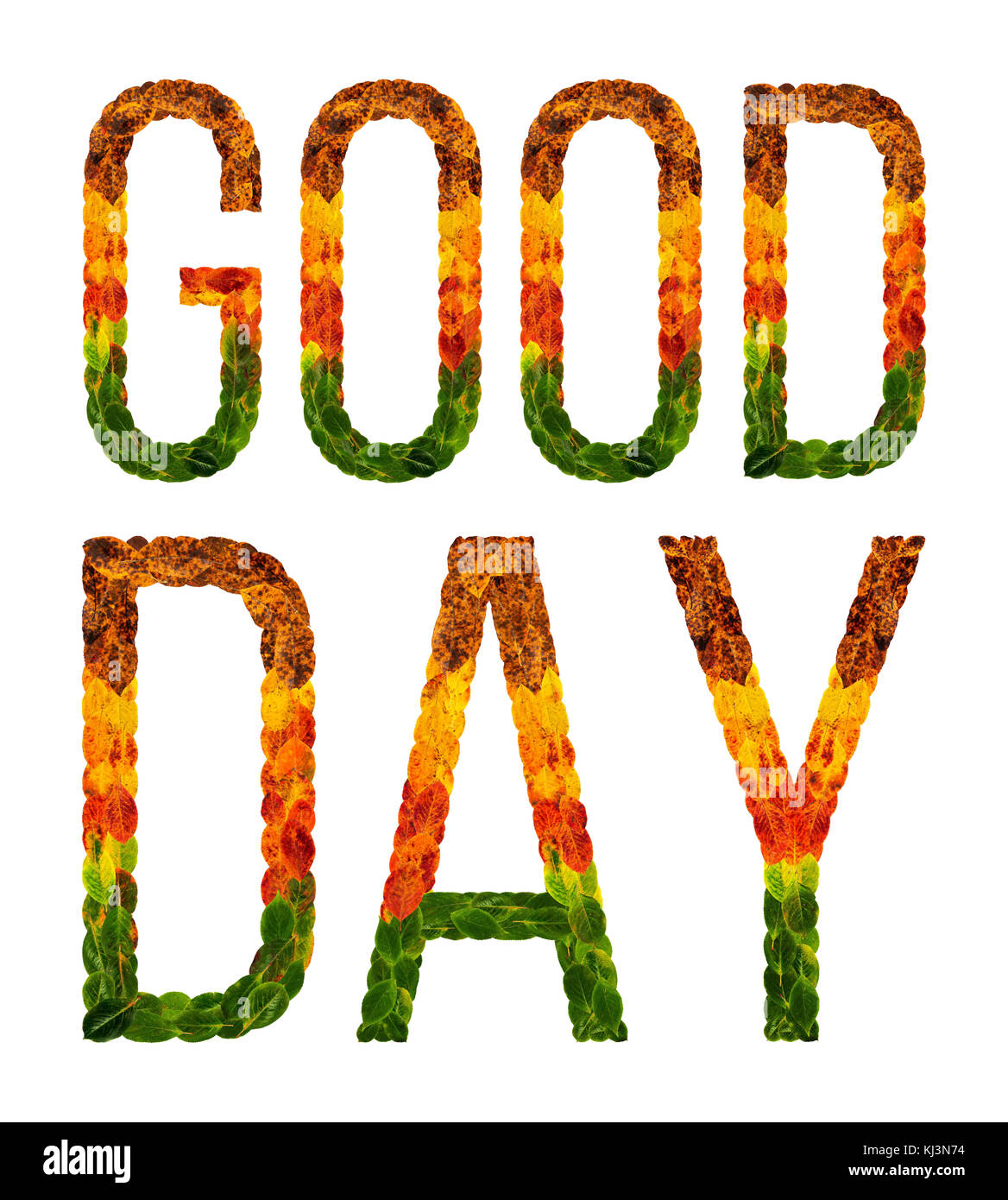 good day word is written with leaves white isolated background, banner ...