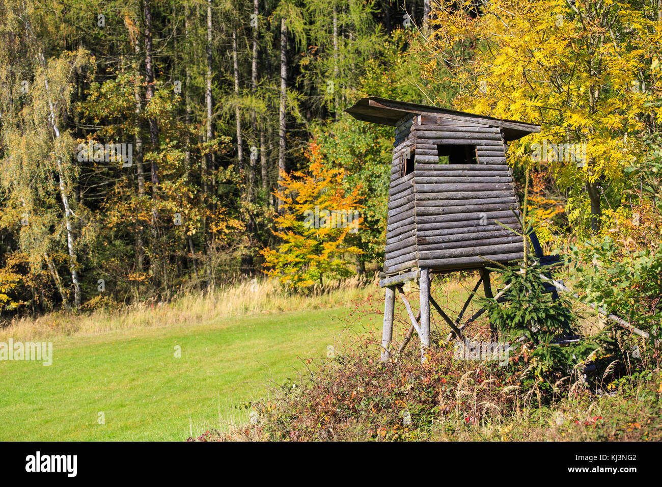 Wooden lookout tower for hunting in the woods and trees with colored ...