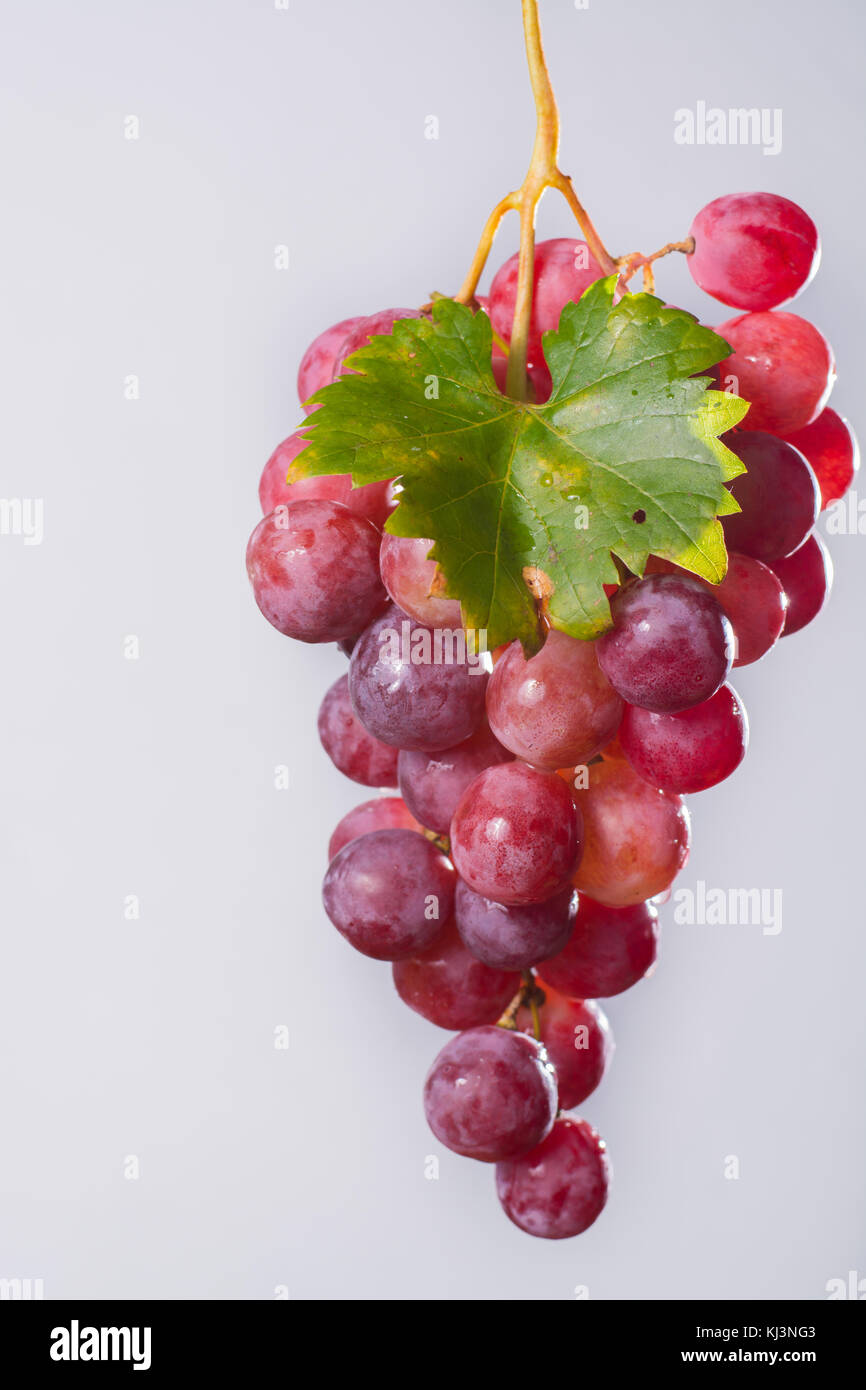 Grapes red globe hi-res stock photography and images - Alamy