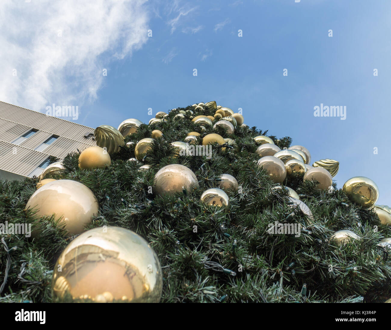Low hanging tree branches hi-res stock photography and images - Alamy