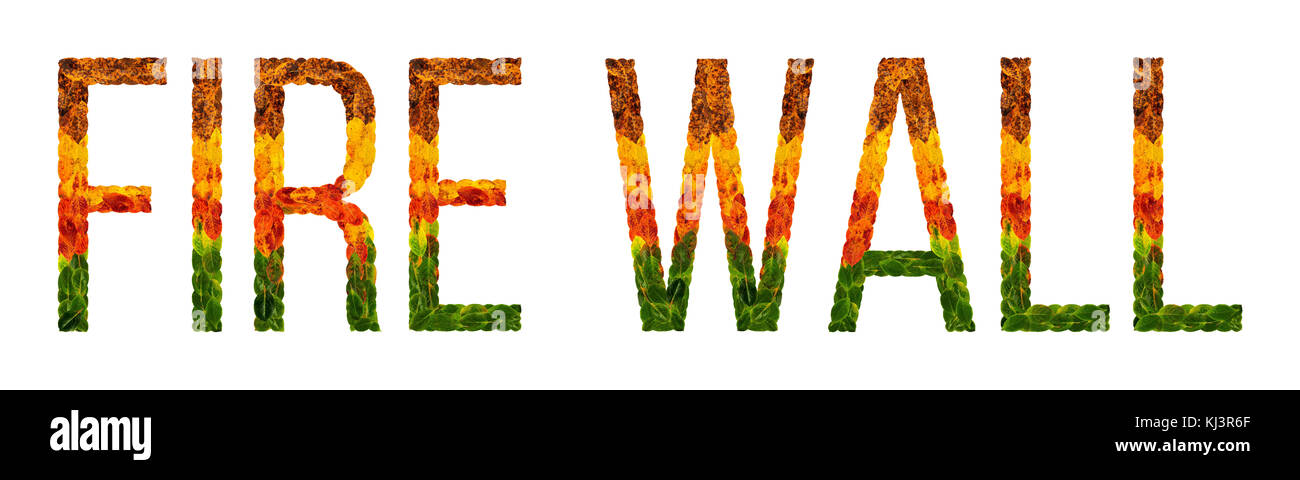 word fire wall written with leaves white isolated background, banner ...