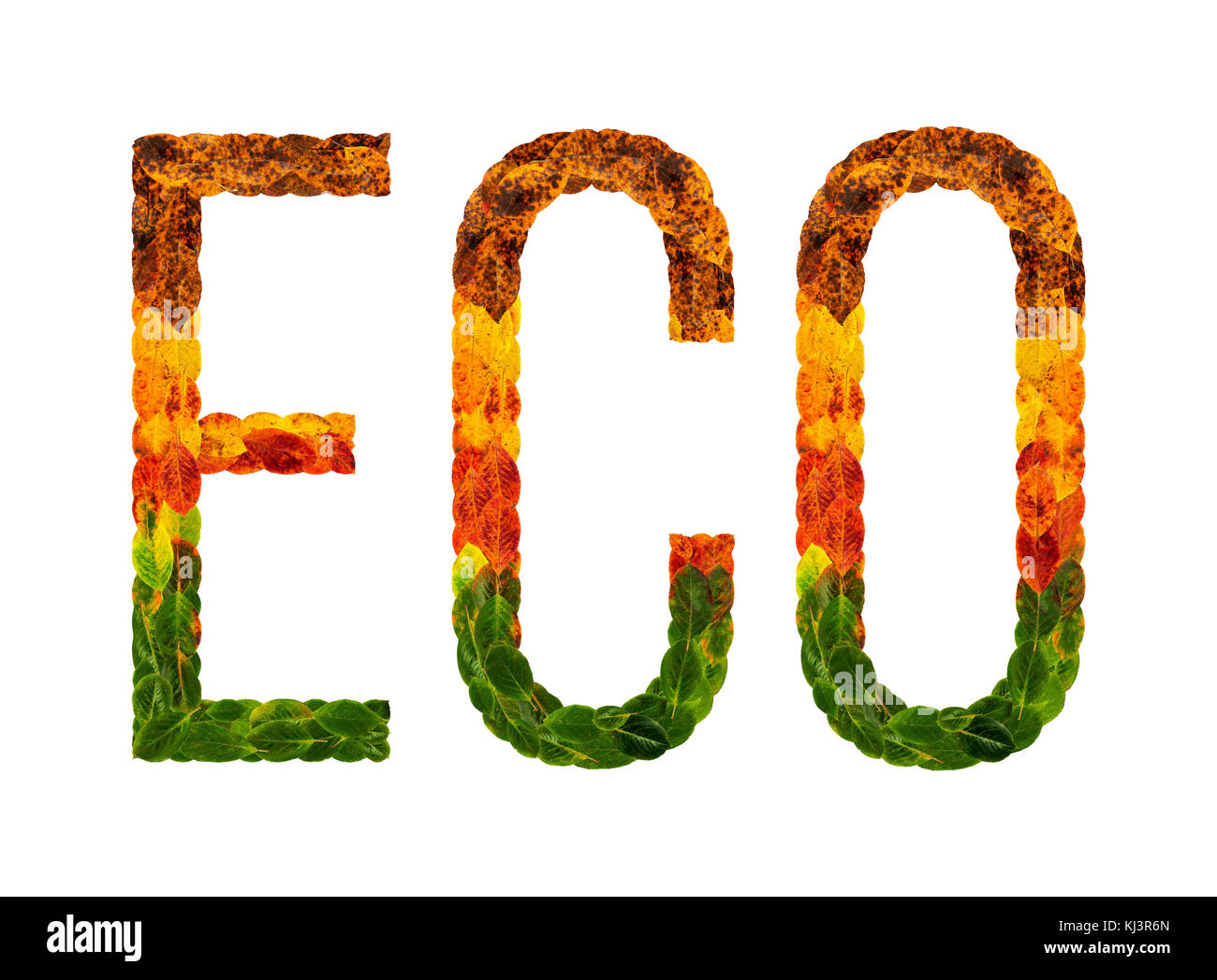 word eco written with leaves white isolated background, banner for ...