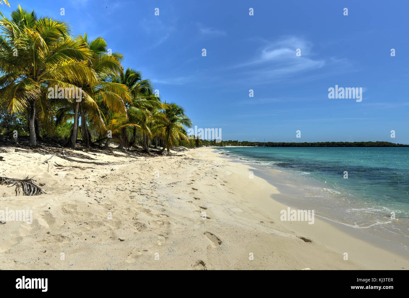 Isla Catalina Stock Photos & Isla Catalina Stock Images - Alamy