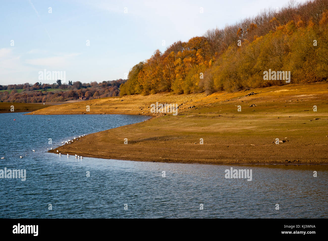 Bewl Water reservoir low capacity level Stock Photo - Alamy